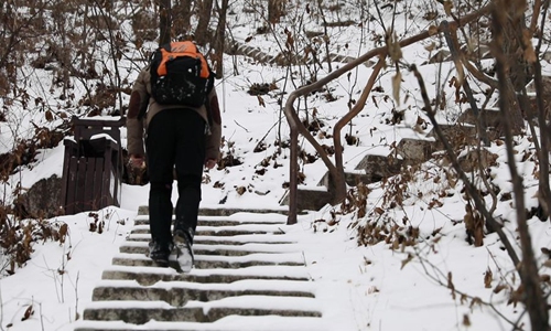 A Chinese forest ranger's lonely Spring Festival - Global Times