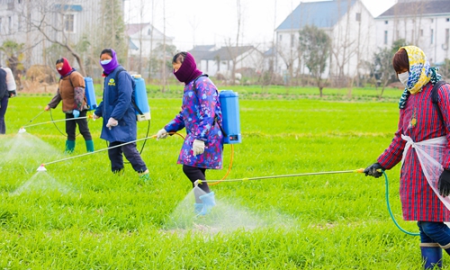 Weeding out - Global Times