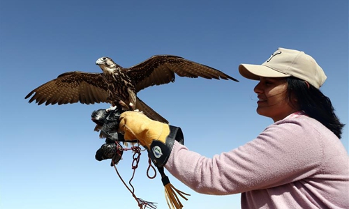 Falcon show held in Giza province, Egypt - Global Times