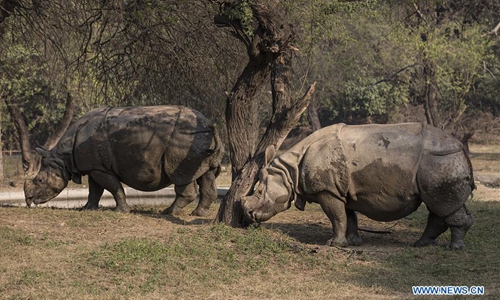 National Zoological Park in New Delhi - Global Times