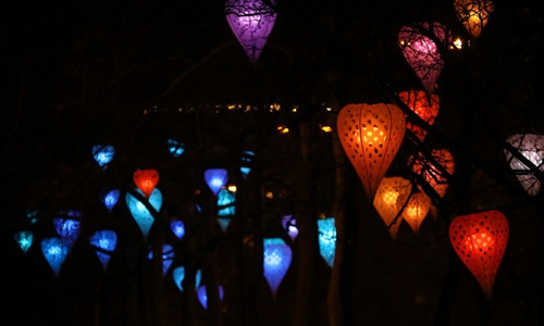 Bright Brussels Festival presents magic of light to public - Global Times