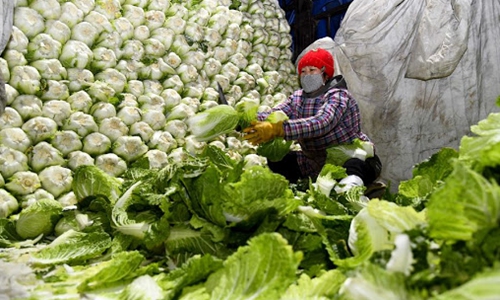 China smooths channels to promote farm produce sales - Global Times