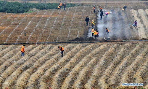 Farmers work in field in southwest China's Guizhou - Global Times