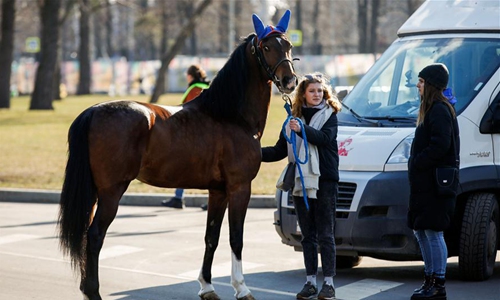 Street harness race held in Moscow, Russia - Global Times