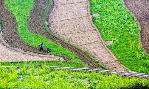 Spring ploughing underway in many areas of China amid COVID-19 fight ...