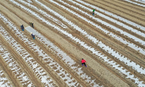 Spring ploughing underway in many areas of China amid COVID-19 fight ...