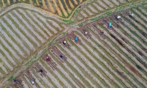 Spring ploughing underway in many areas of China amid COVID-19 fight ...