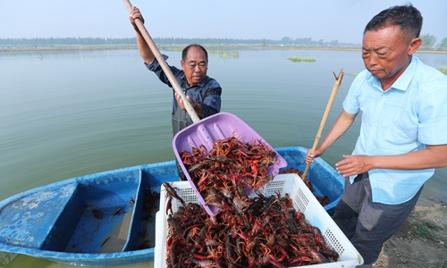 Global crawfish industry hit in Hubei, epicenter of outbreak - Global Times