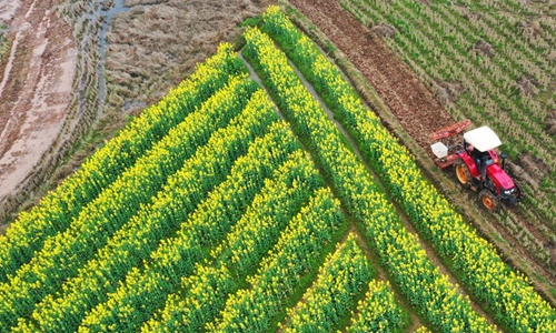 In pics: spring farming acorss China - Global Times