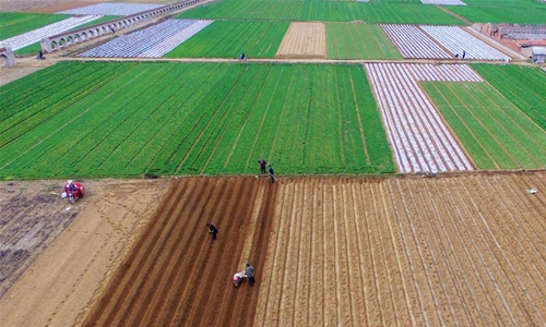 In pics: spring farming acorss China - Global Times