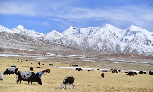Snow scenery in SW China's Tibet - Global Times