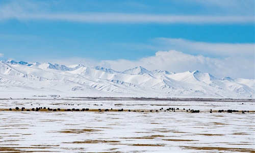 Snow scenery in SW China's Tibet - Global Times