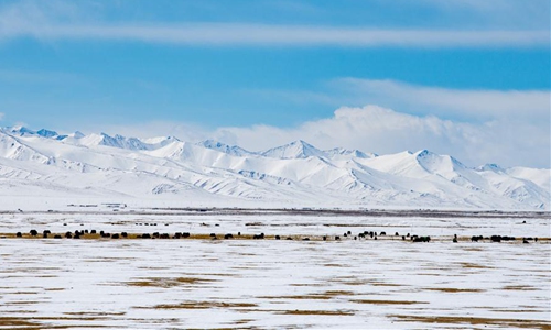 Snow scenery in SW China's Tibet - Global Times