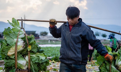 People busy with farm work as farming season comes - Global Times