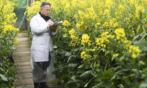 Agricultural experts make research work in Chongqing - Global Times