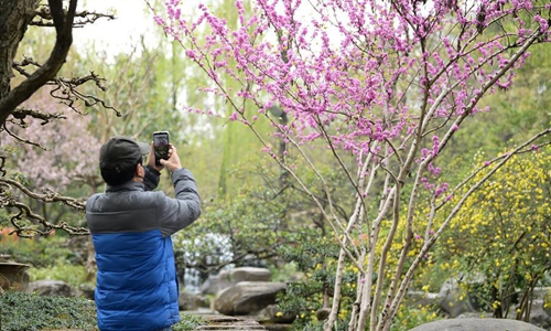 Spring scenery in Chengdu, China's Sichuan - Global Times
