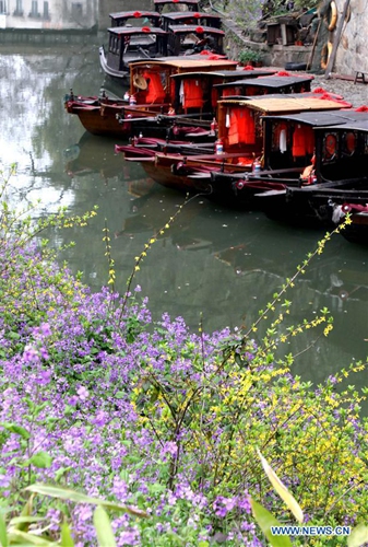 Spring scenery across China - Global Times