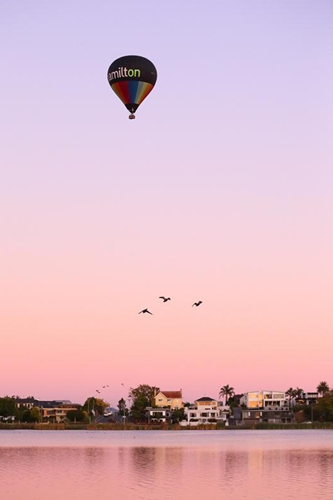 Balloons over Waikato held in Hamilton, New Zealand - Global Times
