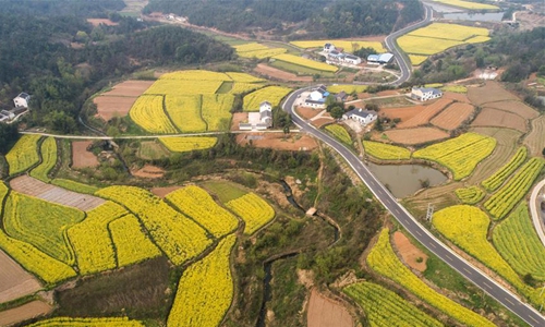 Agriculture production resumed orderly in Dangyang, Hubei - Global Times