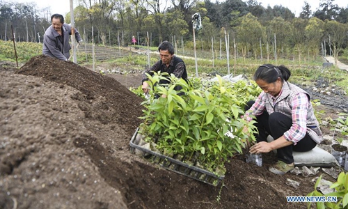 Agricultural tourism, planting industry bring benefits to villagers in ...