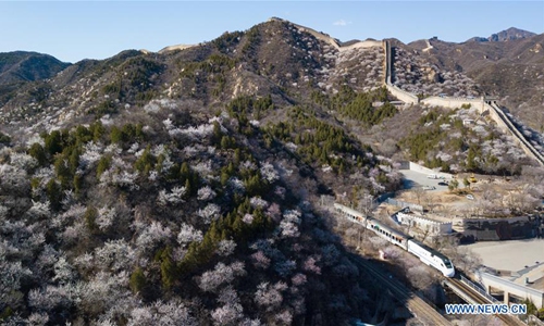 Spring scenery of Great Wall in Beijing - Global Times