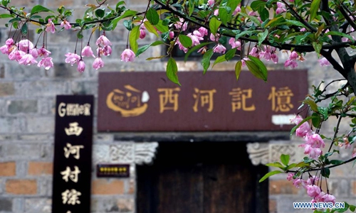 Spring scenery of Xihe Village in Henan - Global Times