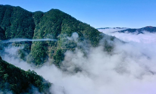 Scenery of Wuyishan National Park in Fujian - Global Times