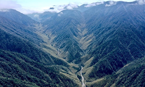 Scenery of Wuyishan National Park in Fujian - Global Times