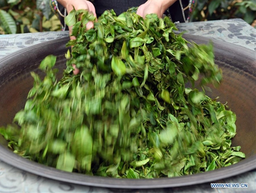 Pic story: inheritor of making technique of Chinese Pu'er tea - Global ...
