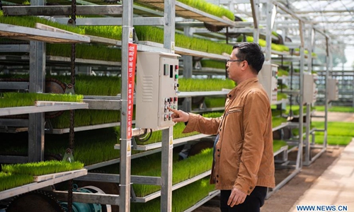 Farmers work at rice seedling raising workshop in Hunan - Global Times
