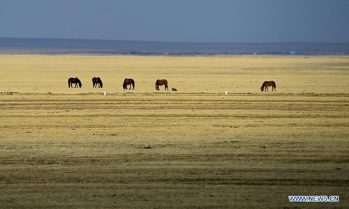 Spring scenery of Hulun Buir Grasslands in Inner Mongolia - Global Times
