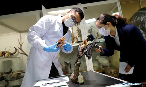 Shanghai Natrual History Museum holds bat-themed 5G livestreaming show ...