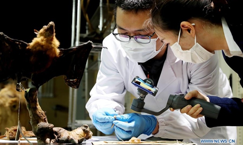 Shanghai Natrual History Museum holds bat-themed 5G livestreaming show ...