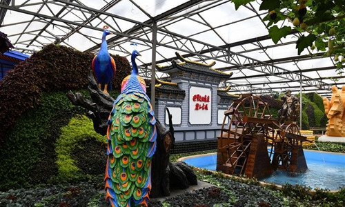 21st China (Shouguang) Int'l Vegetable Science and Technology Expo ...