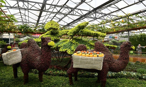 21st China (Shouguang) Int'l Vegetable Science and Technology Expo ...