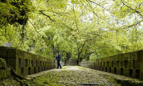 Scenery of ancient town of Dongxi in Chongqing - Global Times