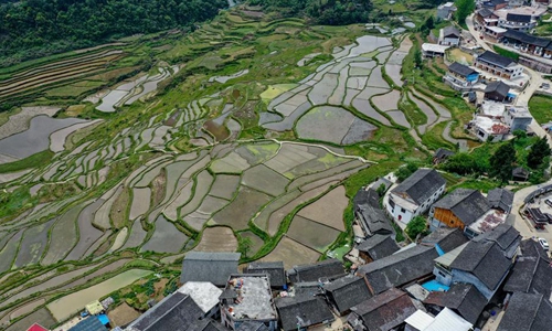 Scenery of Gaoyao terraced fields in Guizhou - Global Times