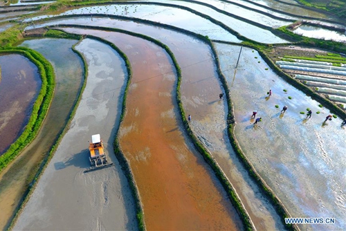 Farmers work in fields in central China's village - Global Times