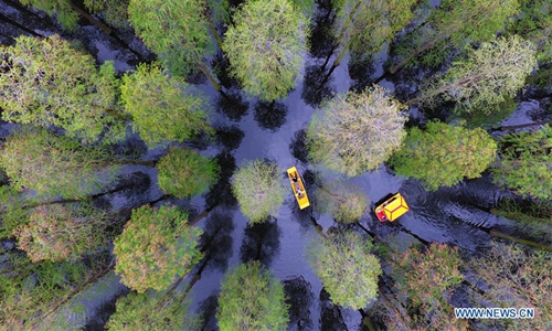 Tourists enjoy leisure time in aquatic forest at Luyang Lake wetland ...