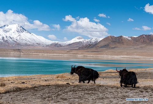 Scenery of Tangqung Co Lake in Nagqu, China's Tibet - Global Times