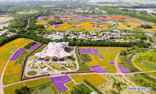 In pics: flower fields at San Tai Mountain Forest Park in Suqian City ...