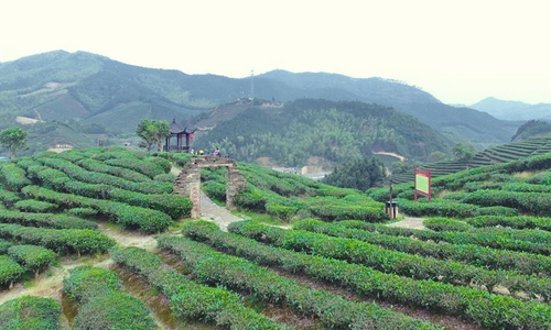 Green industries developed in Nanping, Fujian - Global Times