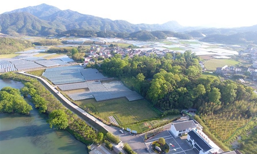 Green industries developed in Nanping, Fujian - Global Times