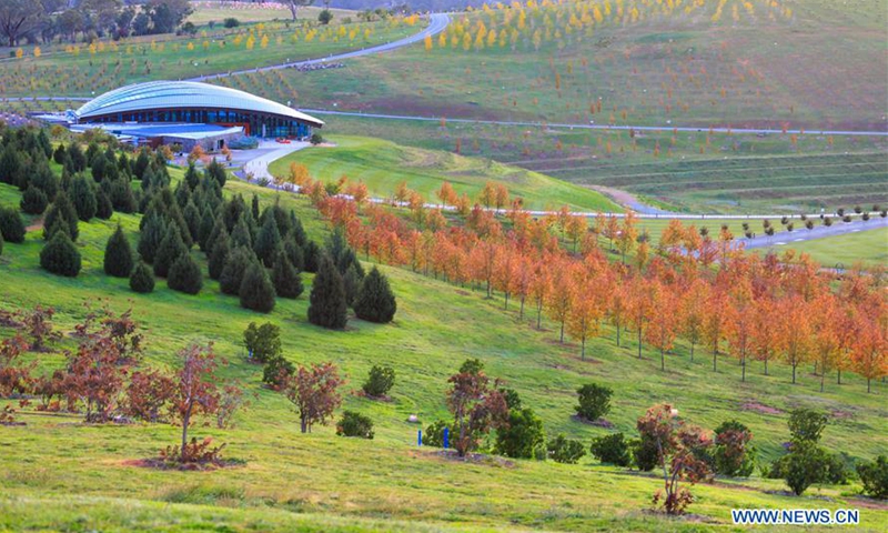 Autumn scenery in Canberra, Australia - Global Times