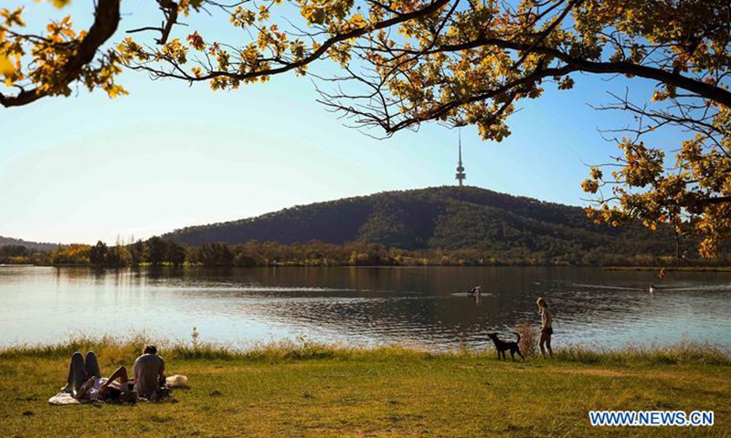 Autumn scenery in Canberra, Australia - Global Times