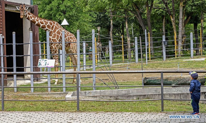 Skopje Zoo reopens to public - Global Times