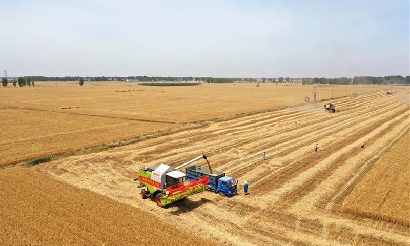 Farmers busy harvesting wheat in Henan - Global Times