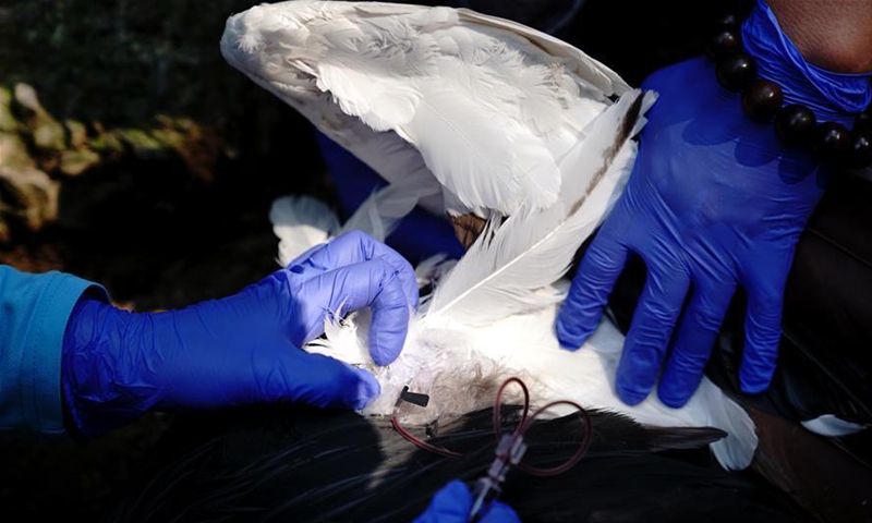 Veterinarians conduct regular physical examination for animals in ...
