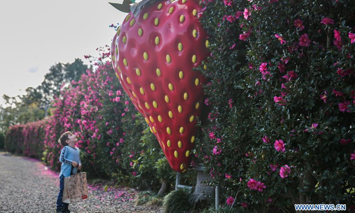 People spend weekend at Bilpin Fruit Bowl in Bilpin, Australia - Global ...
