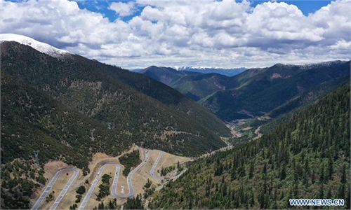 Chinese researchers find evidence of alpine treelines to higher ...